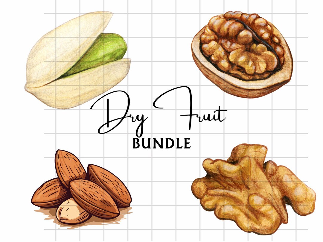 Nuts Clipart\ Nuts Watercolor\ Nuts Set Clipart\ Walnut Clipart\ Nuts ...
