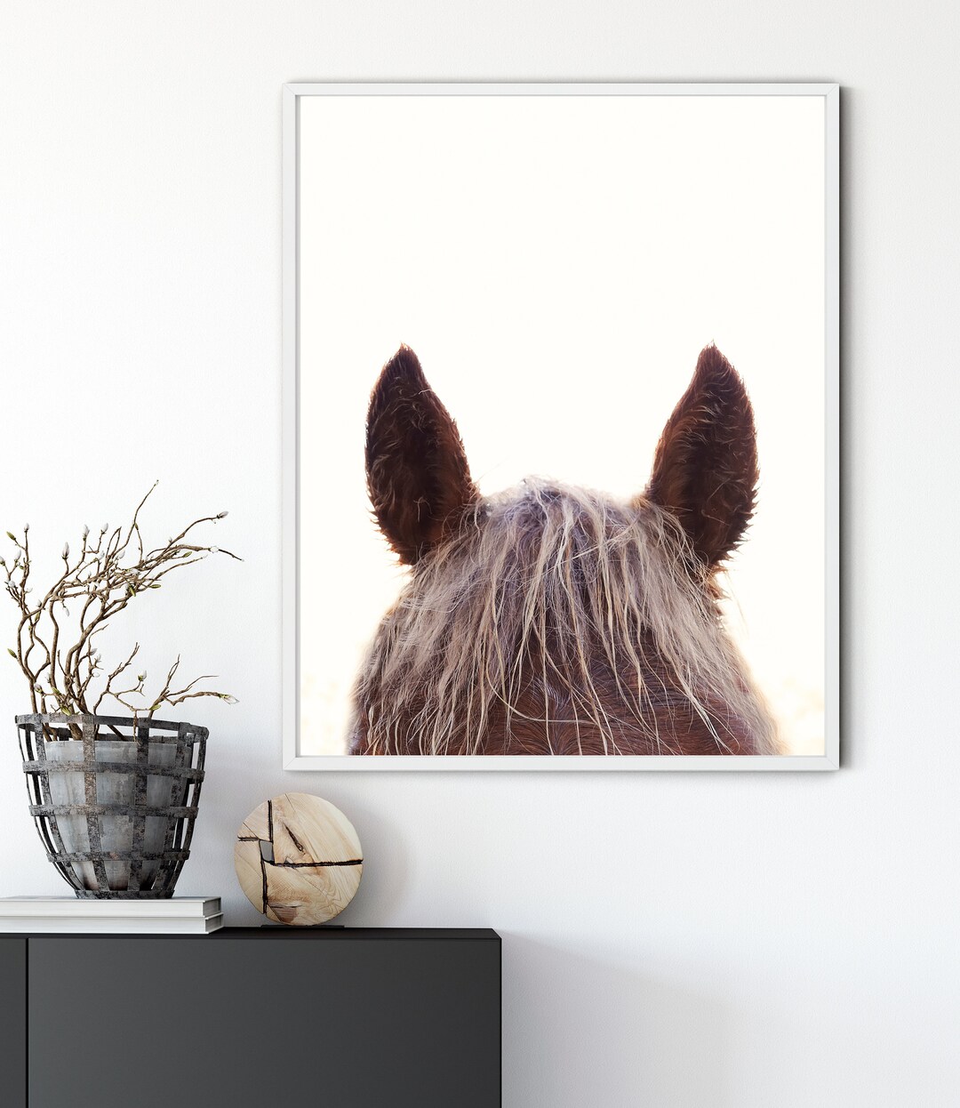 Horse Photography, Equine, Pony, Mane, Nature Photography, Horse Ears ...