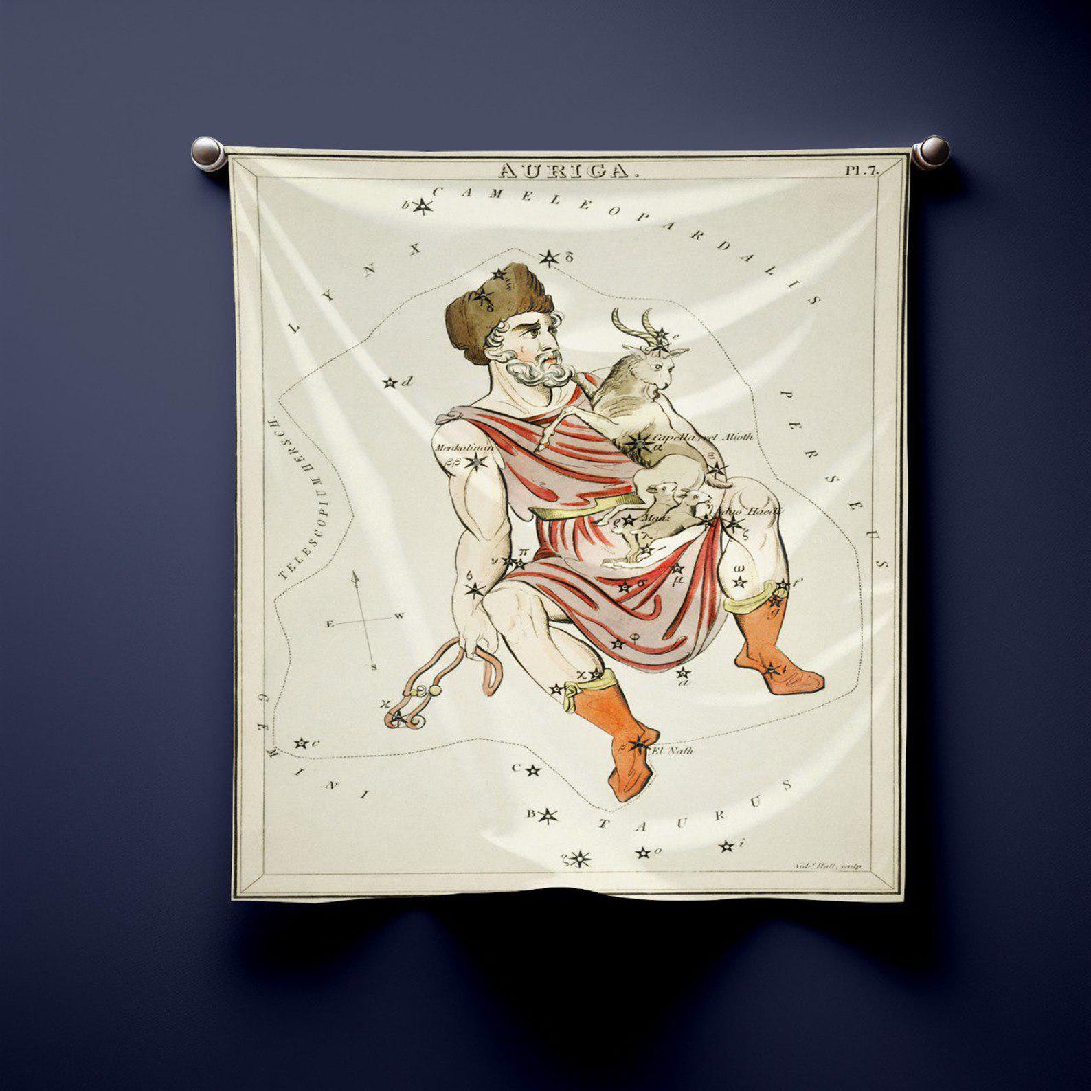 Auriga Star Map Bandana, Vintage Astronomy Art Scarf, Old Money ...