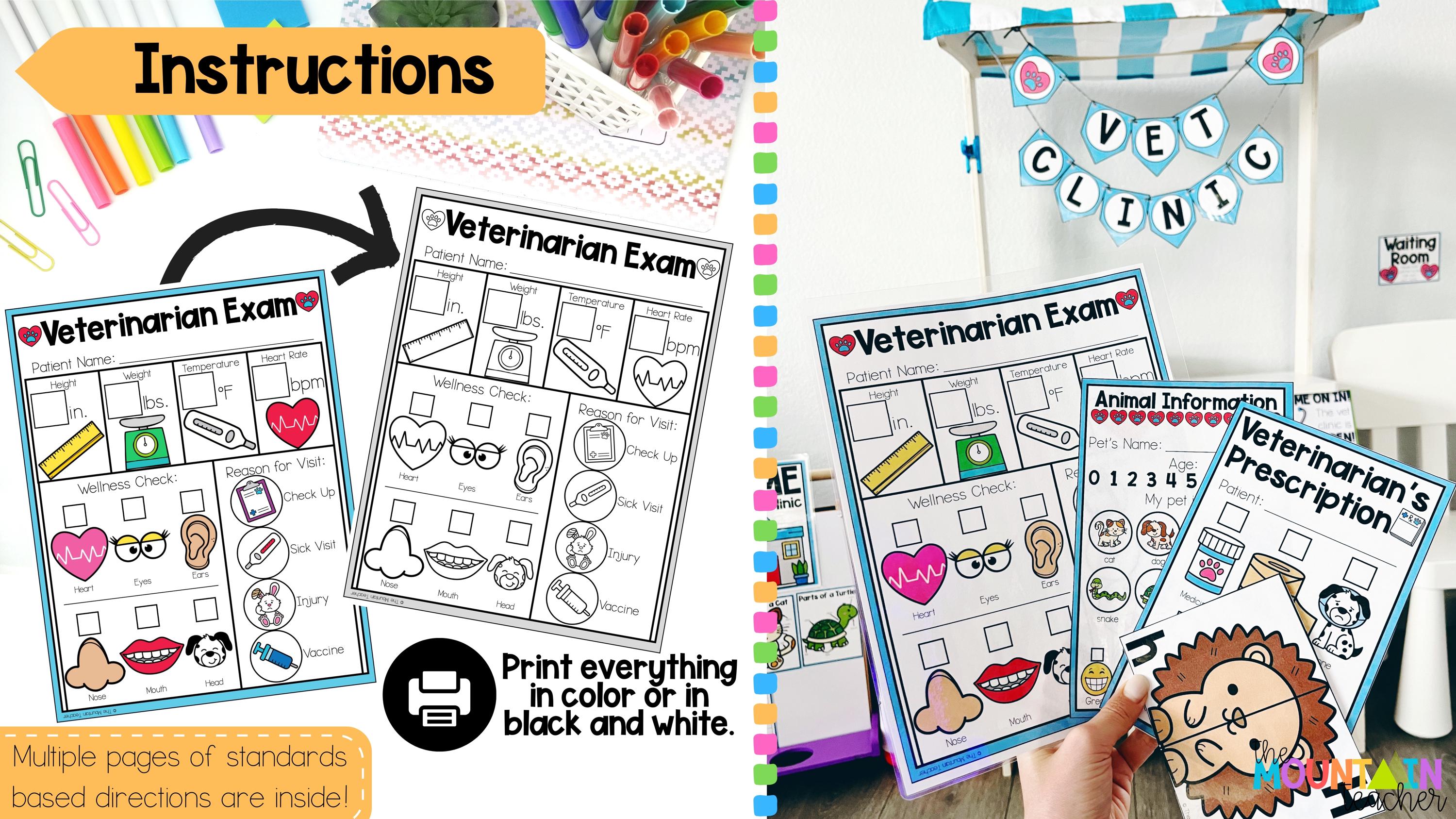 Vet Clinic Dramatic Play Printables: Pretend Veterinarian Center (PDF ...