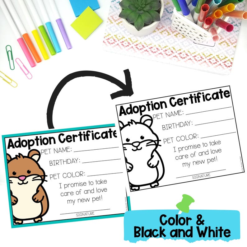 Pet Shop Dramatic Play Bundle - Pet Store Adoption Printables ...