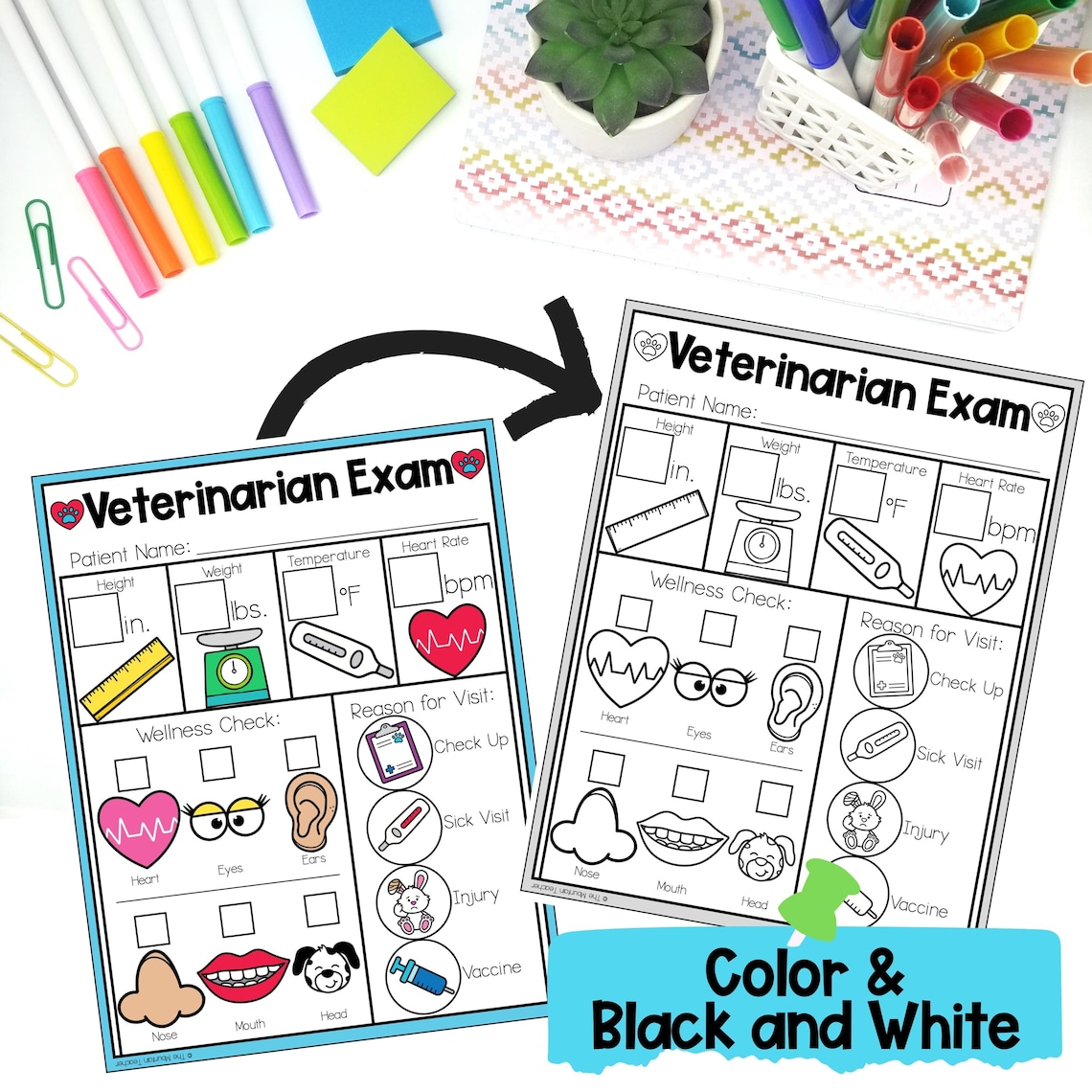 Vet Clinic Dramatic Play Printables: Pretend Veterinarian Center (PDF ...