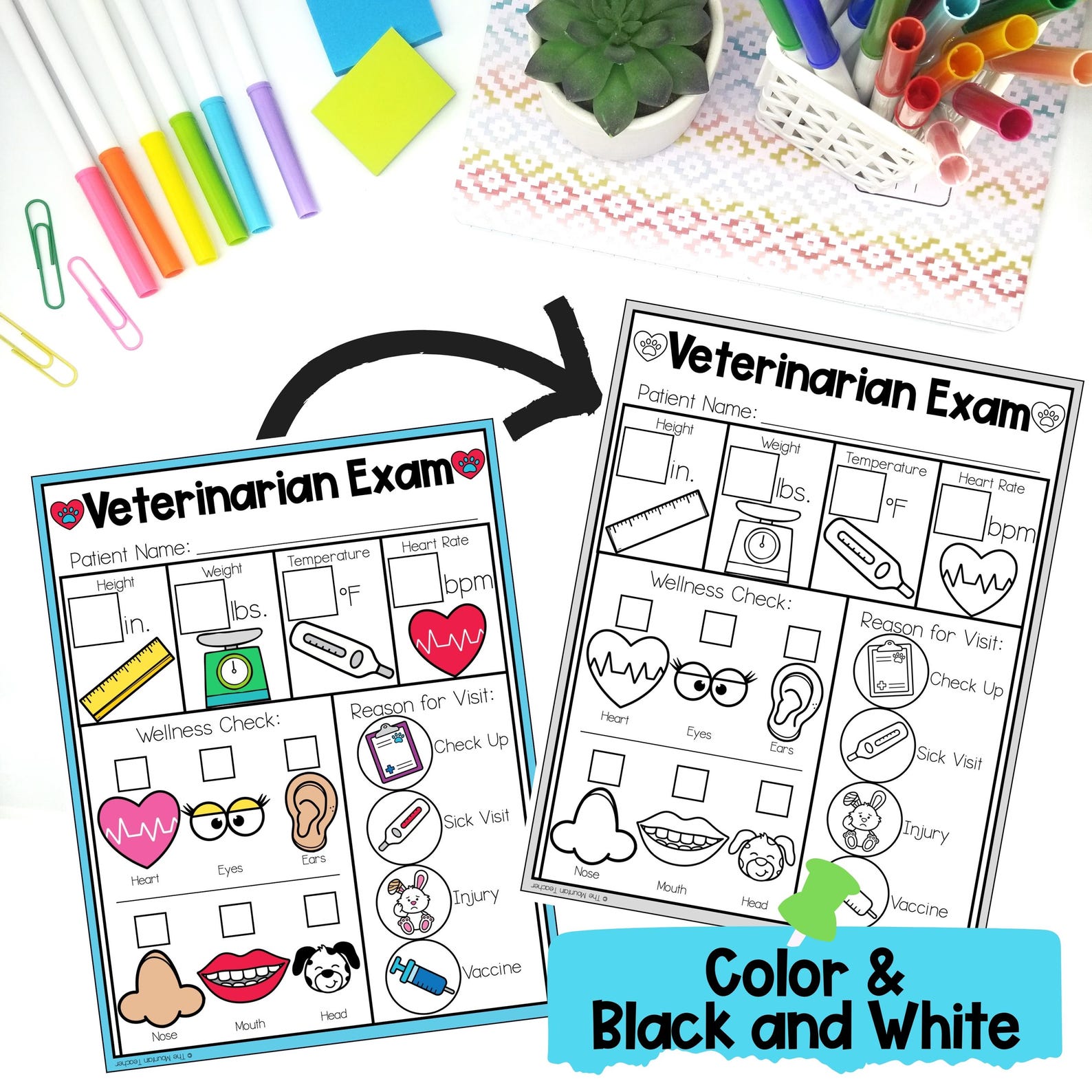 Vet Clinic Dramatic Play Printables: Pretend Veterinarian Center (PDF ...