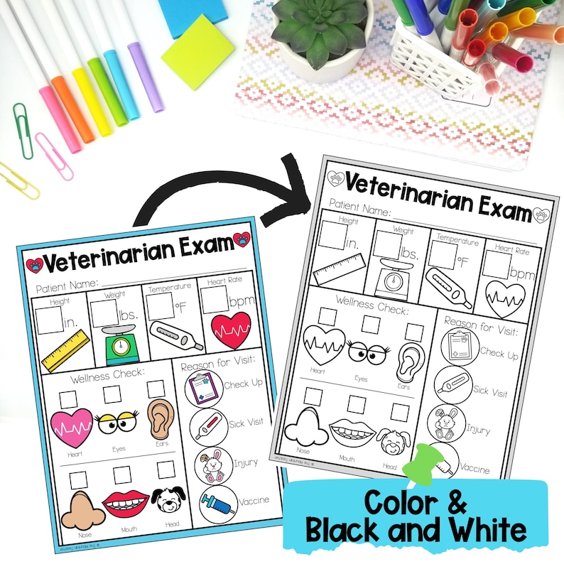 Vet Clinic Dramatic Play Printables: Pretend Veterinarian Center (PDF ...