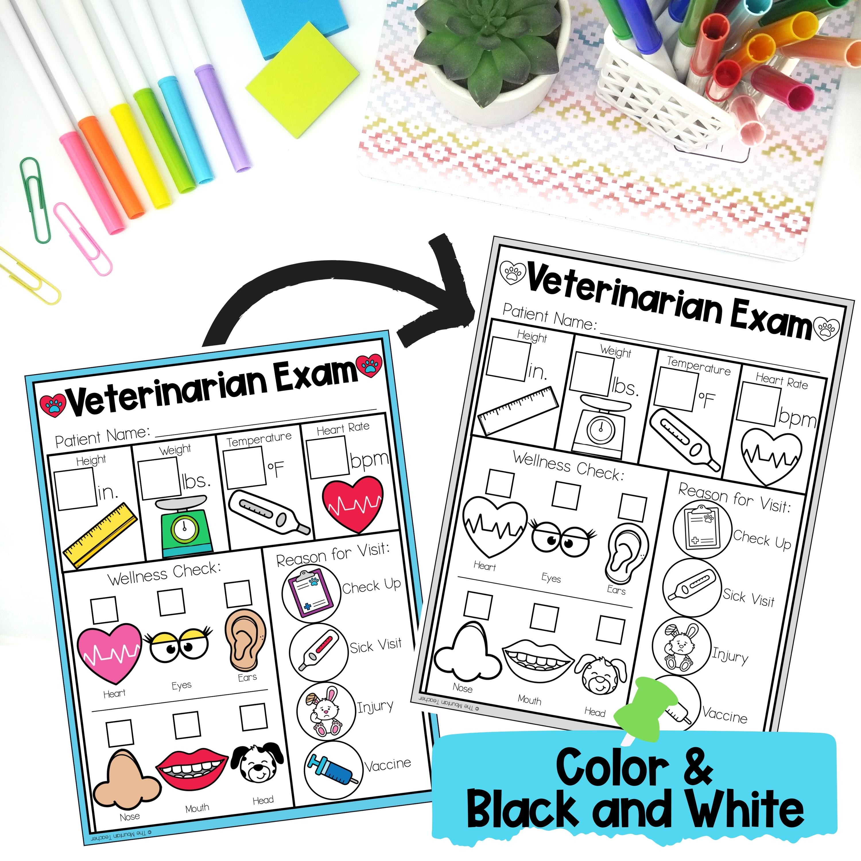 Vet Clinic Dramatic Play Printables: Pretend Veterinarian Center (PDF ...