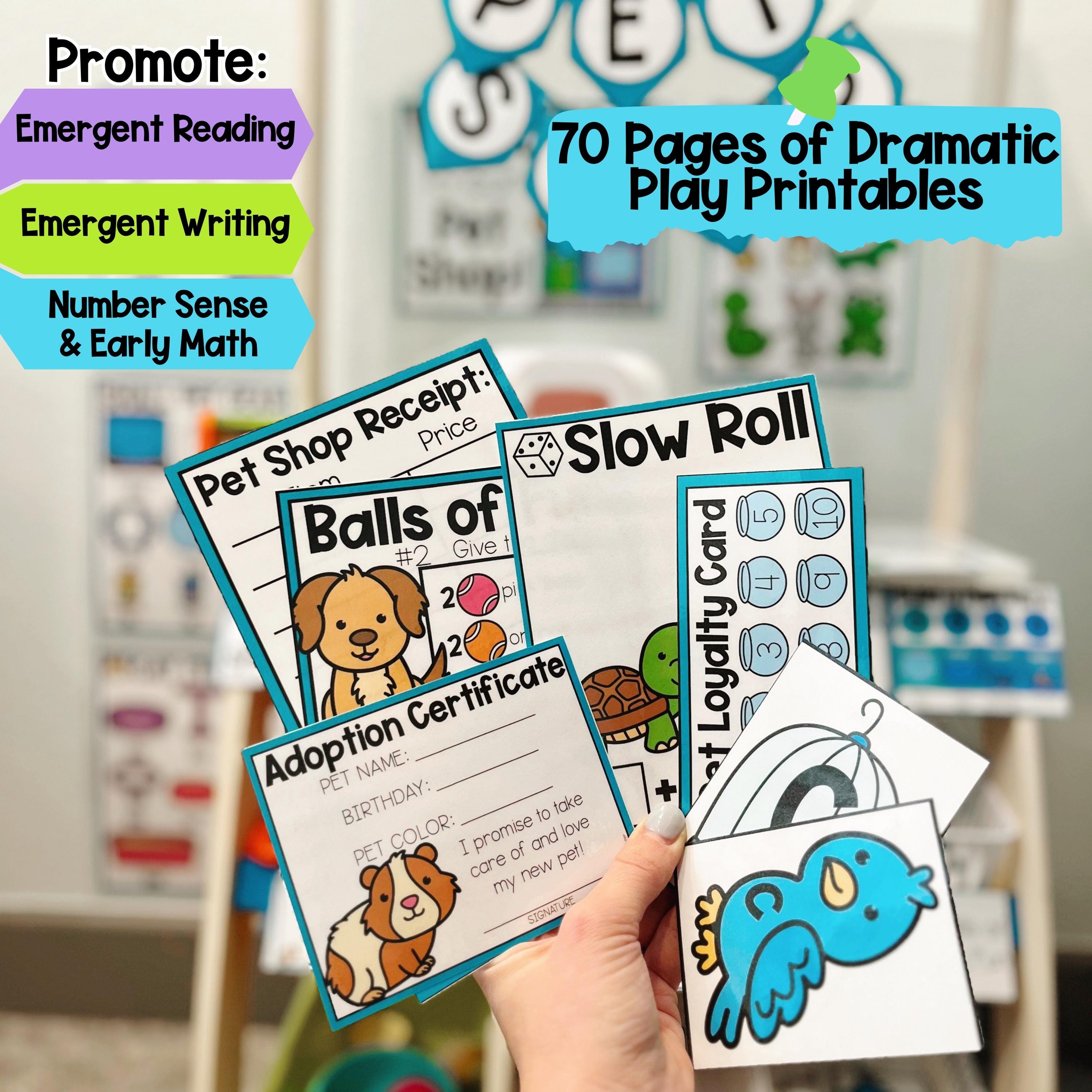 Pet Shop Dramatic Play Printables: Homeschool & Kindergarten (PDF) - Etsy