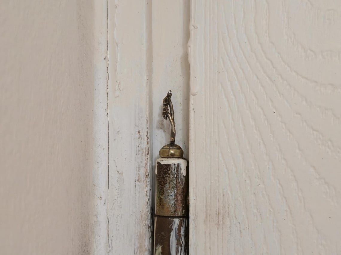Brass Flower Hinge Topper: Magnetic Floral Door Accent for Nature ...