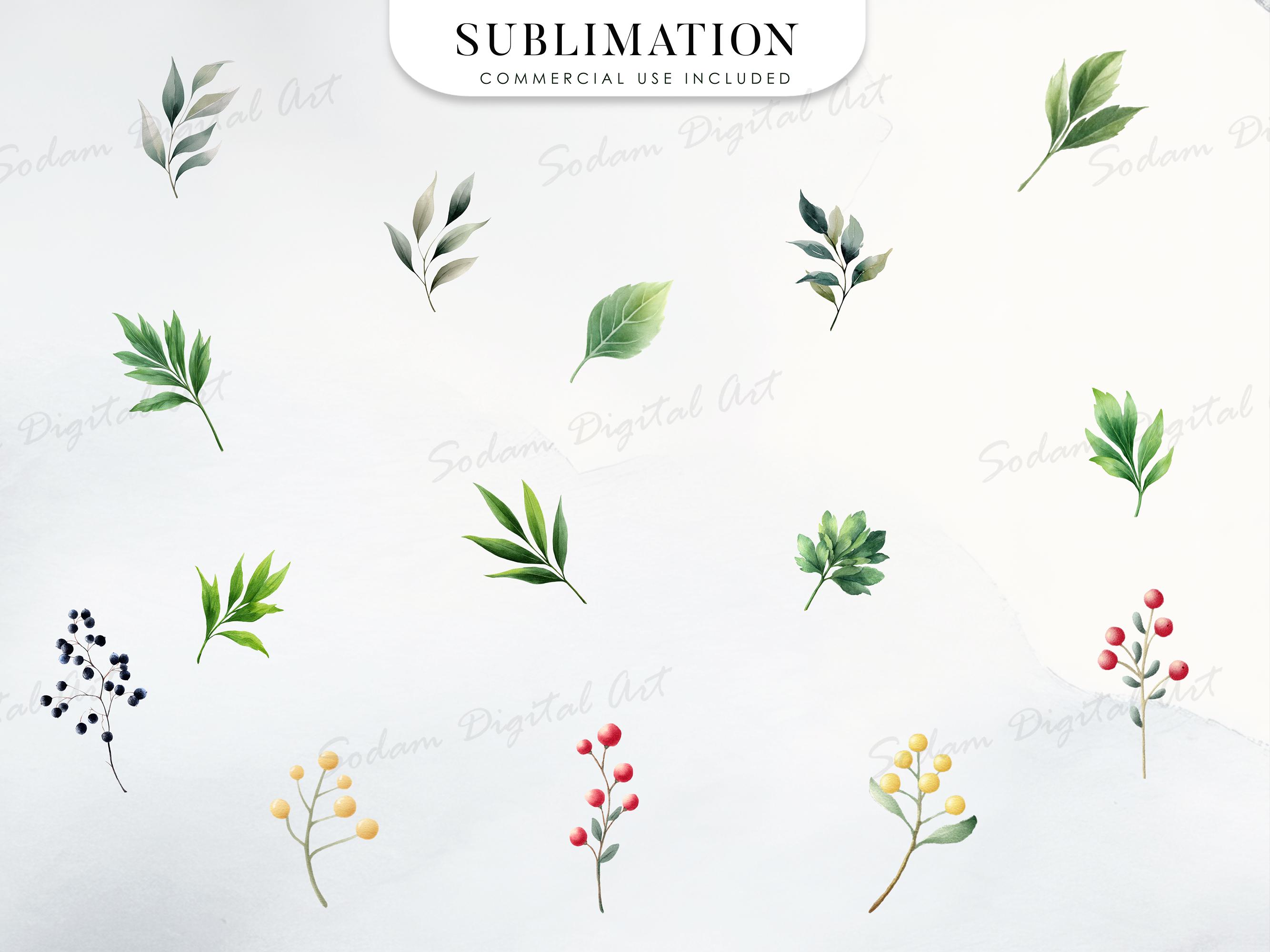 Watercolor Peony Clipart Bundle: 100 Floral PNG Images (digital ...