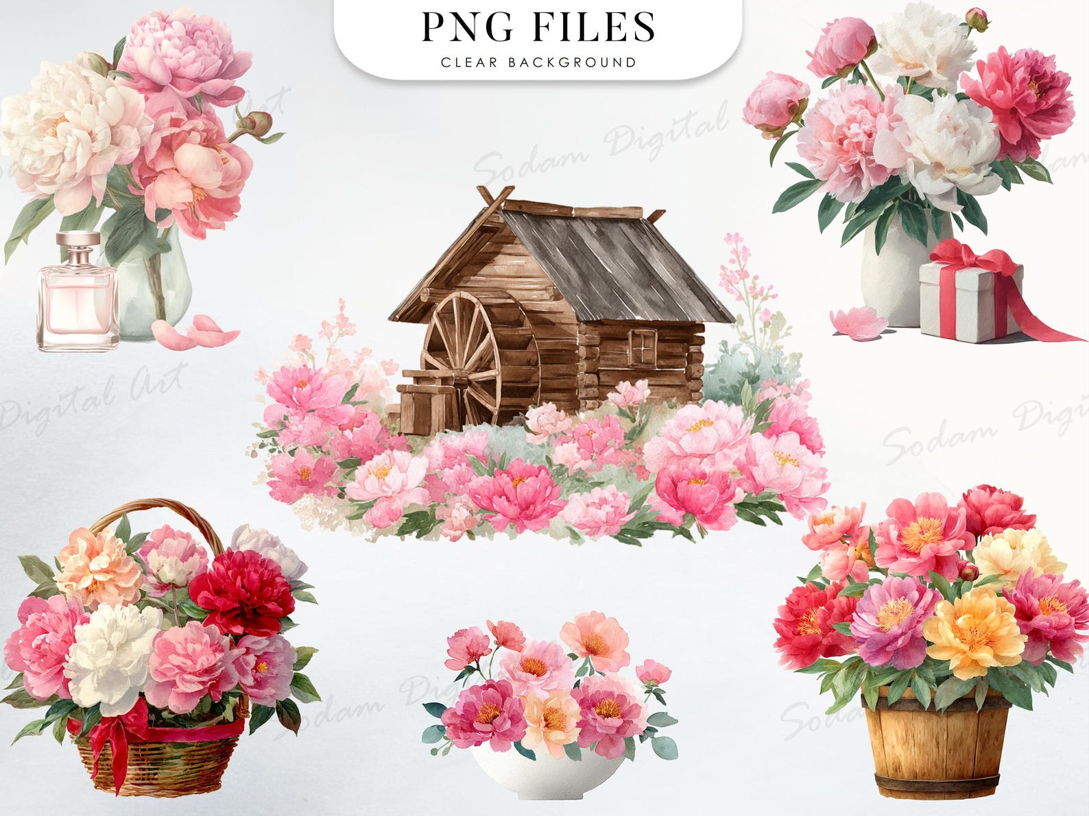 Watercolor Peony Clipart Bundle: 100 Floral PNG Images (digital ...