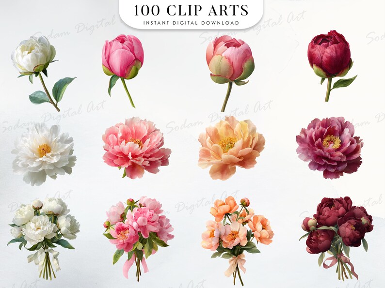 Watercolor Peony Clipart Bundle: 100 Floral PNG Images (digital ...