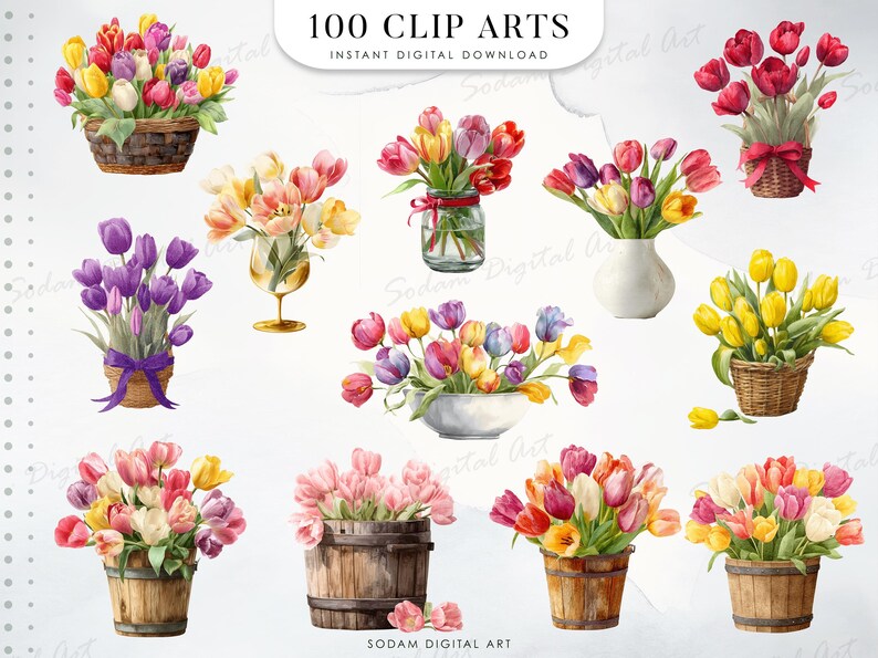 Tulip Watercolor Clipart Bundle – 100 PNG Floral Images, Tulip Flower ...