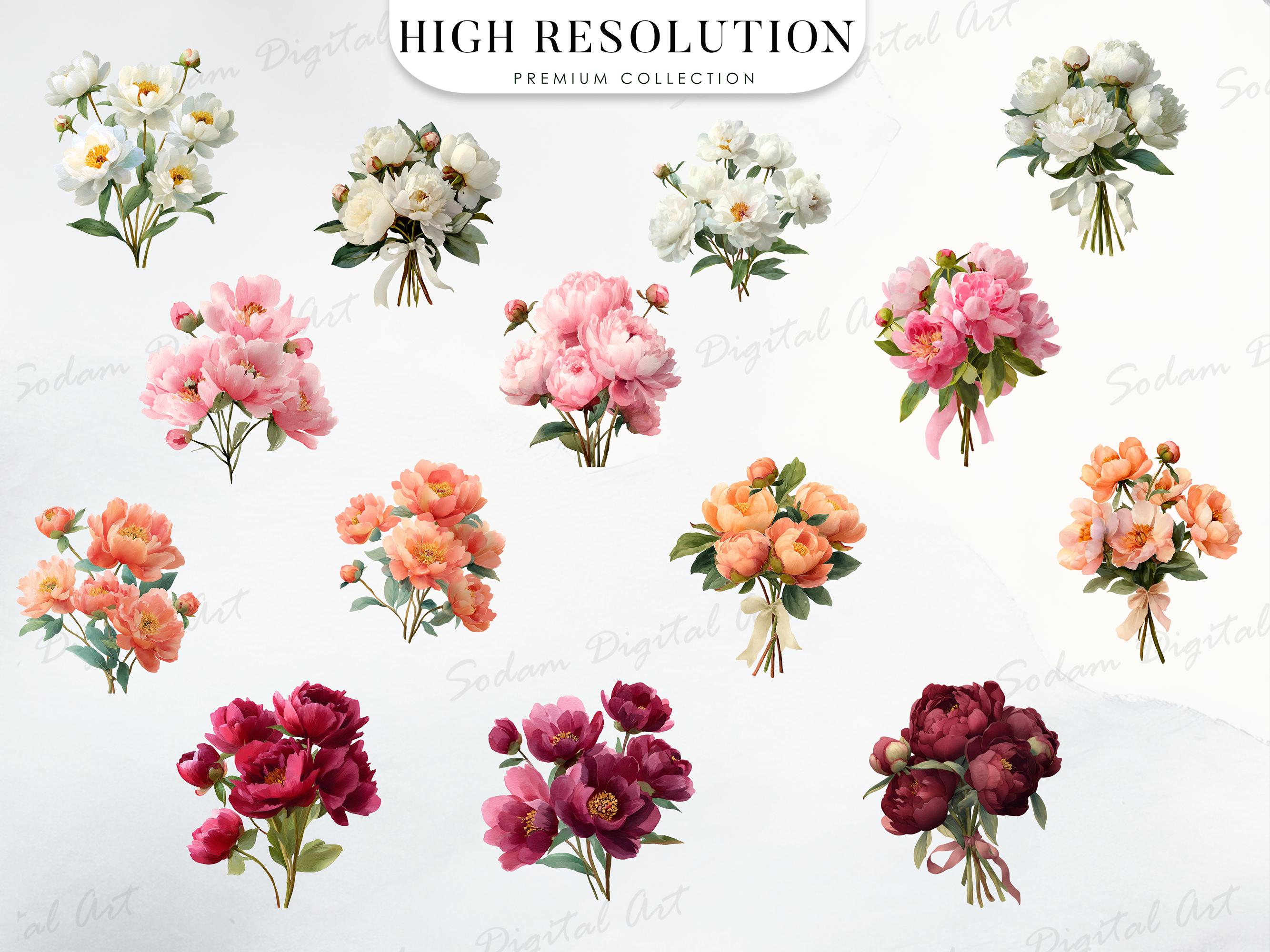 Watercolor Peony Clipart Bundle: 100 Floral PNG Images (digital ...