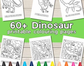 Dinosaur Colouring Page - Etsy Canada