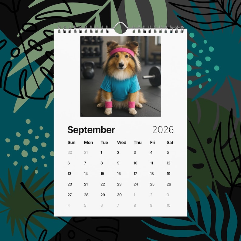 Shelties With Jobs 2026 Calendar – Funny Sheltie Dog Calendar for ...