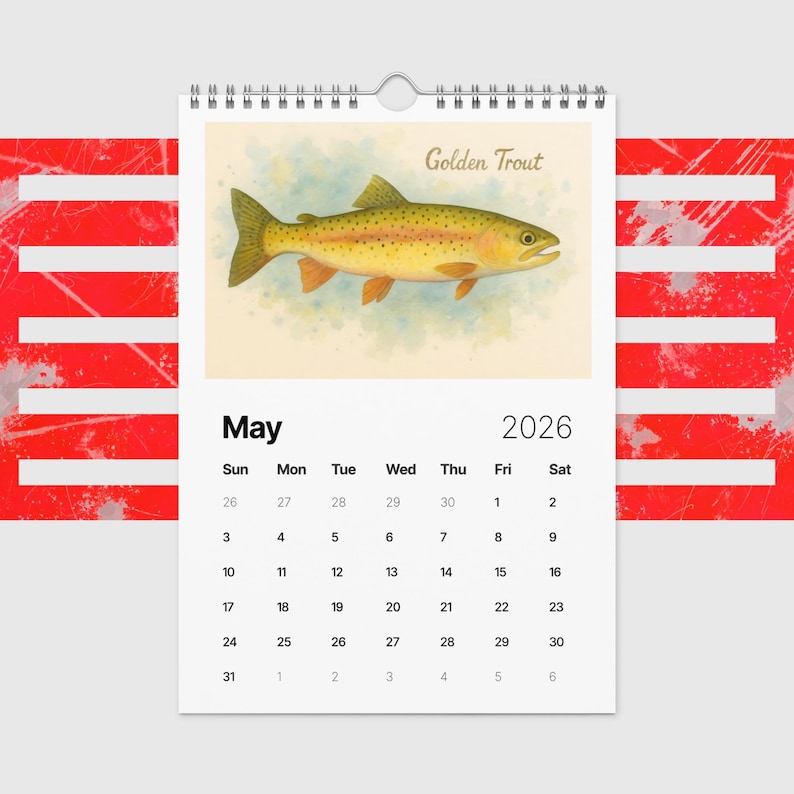2026 Trout Fishing Calendar – Watercolor Art of Trout Species, Fly ...