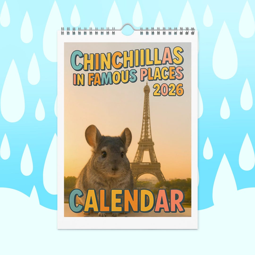 Funny Chinchilla Travel Calendar 2026 – Cute Chinchillas at Famous ...