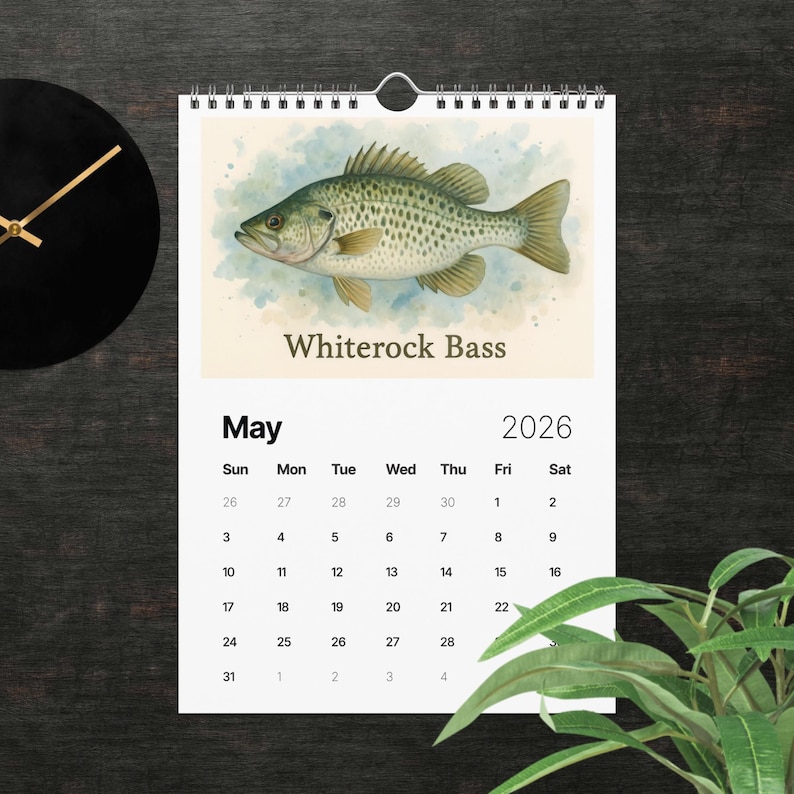 2026 Bass Fishing Calendar – Watercolor Largemouth, Smallmouth, Striped ...