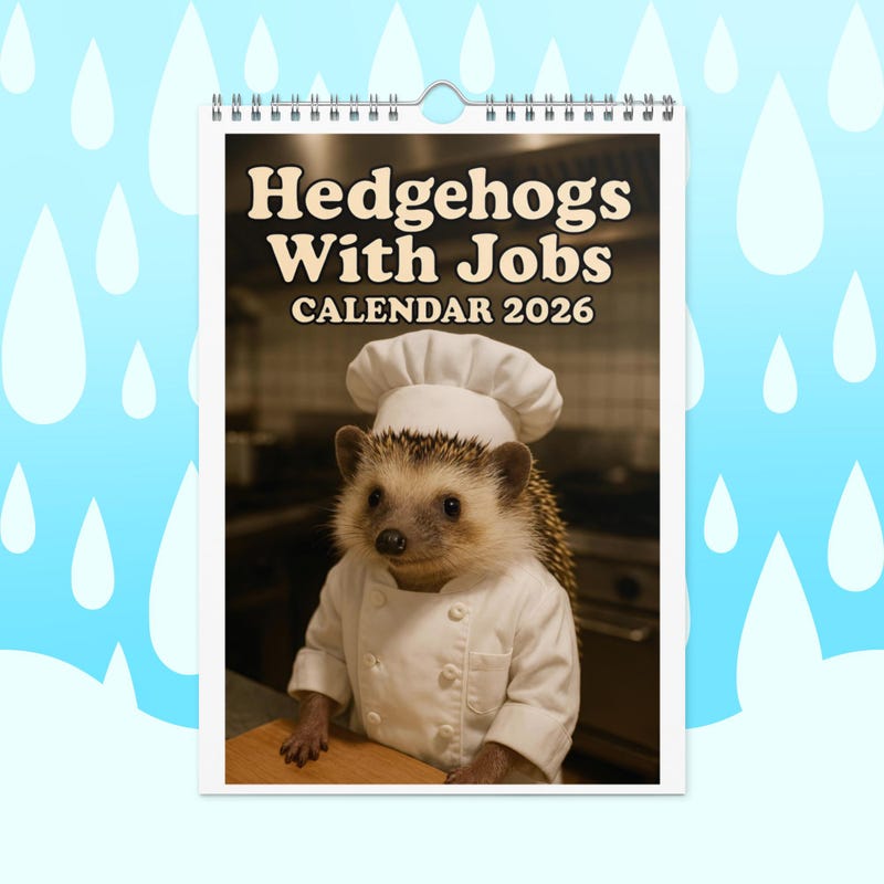 Wall Calendar Hedgehog - Etsy