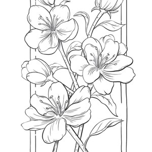 60+ Botanical Coloring Pages – Relaxing Floral & Nature Designs - Etsy