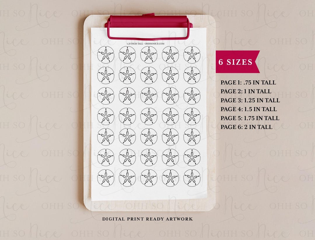 6 Sizes | Sand Dollar Shell Royal Icing Transfer Template | Instant ...