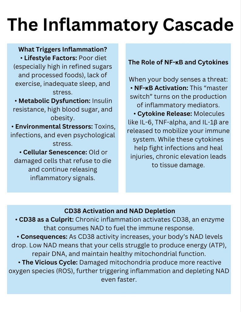 Break the Inflammatory Cascade Guide | Boost NAD+ for Anti-aging and ...