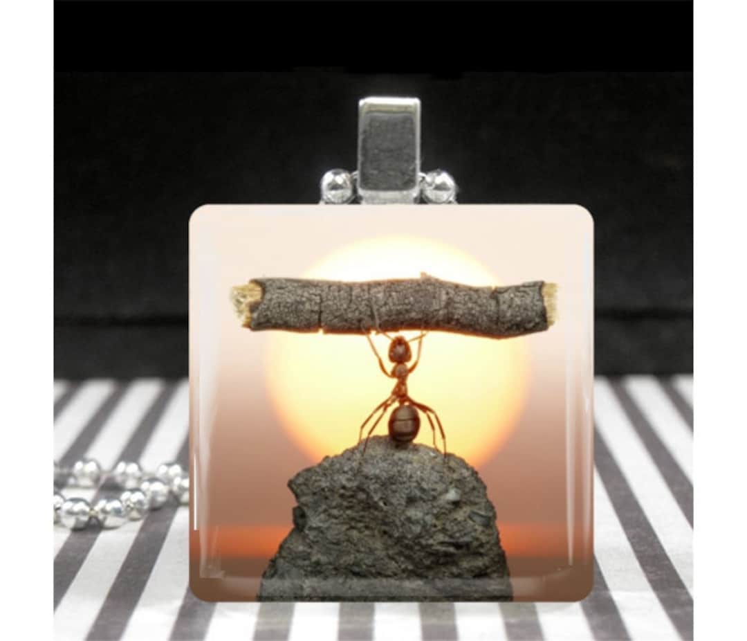Ant Lifting a Log Necklace Encouragement Jewelry Granduation Gift ...