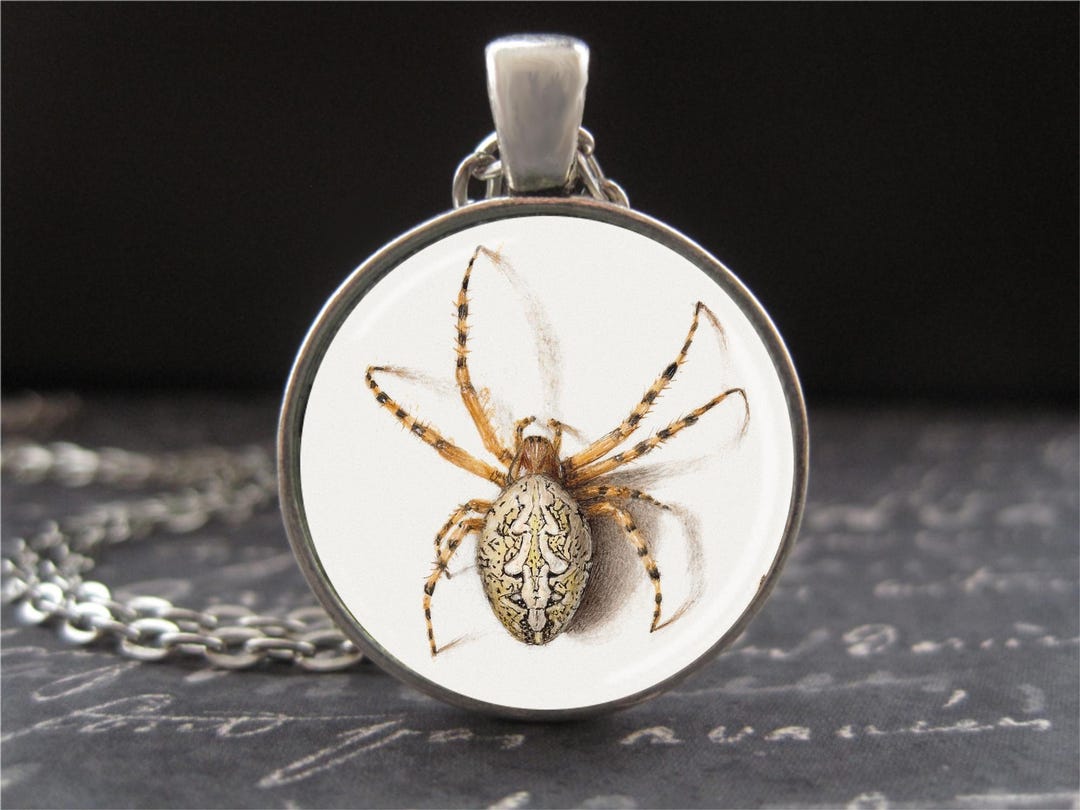 Spider Necklace Antique Naturalist Art Arachnid Vivarium Pendant ...
