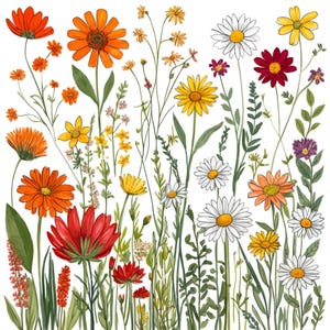 10 Sketched Wildflowers Clipart, Floral Art, Botanical Illustrations ...