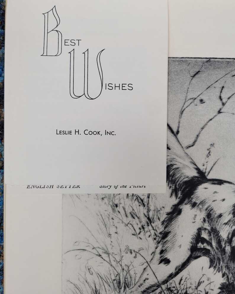 Vintage Print of an English Setter Dog - Etsy