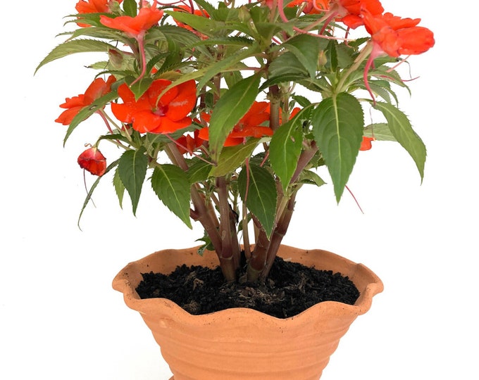 FLUTED FLOWER POT #19 Terracotta Clay Planter With Saucer Unglazed ...