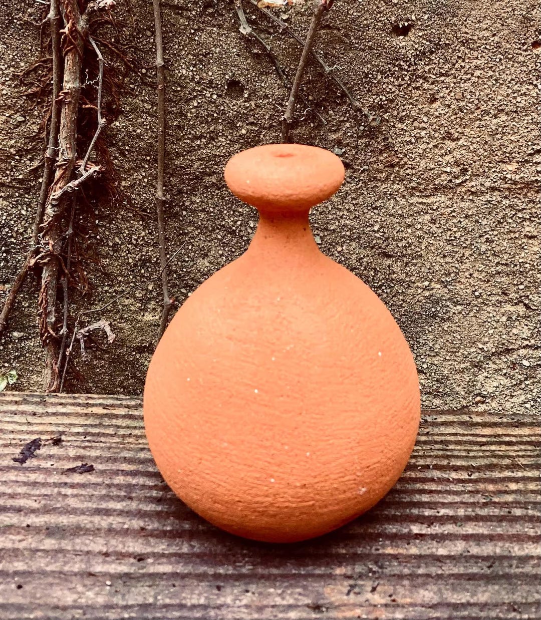 FRENCH WATERING BELL #5 Terracotta Pot for Gentle Watering of Delicate ...