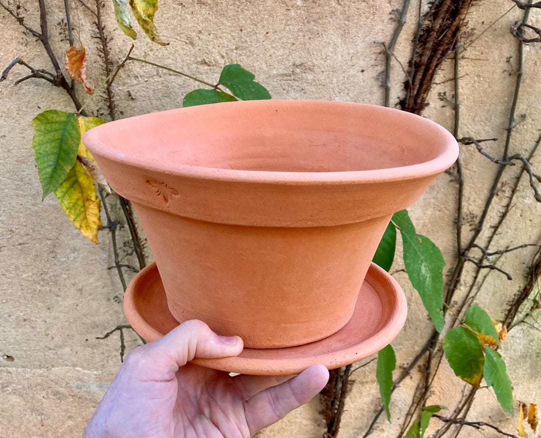 TERRACOTTA CLAY PLANTER #6 Porous Clay for Healthy, Happy Houseplants ...