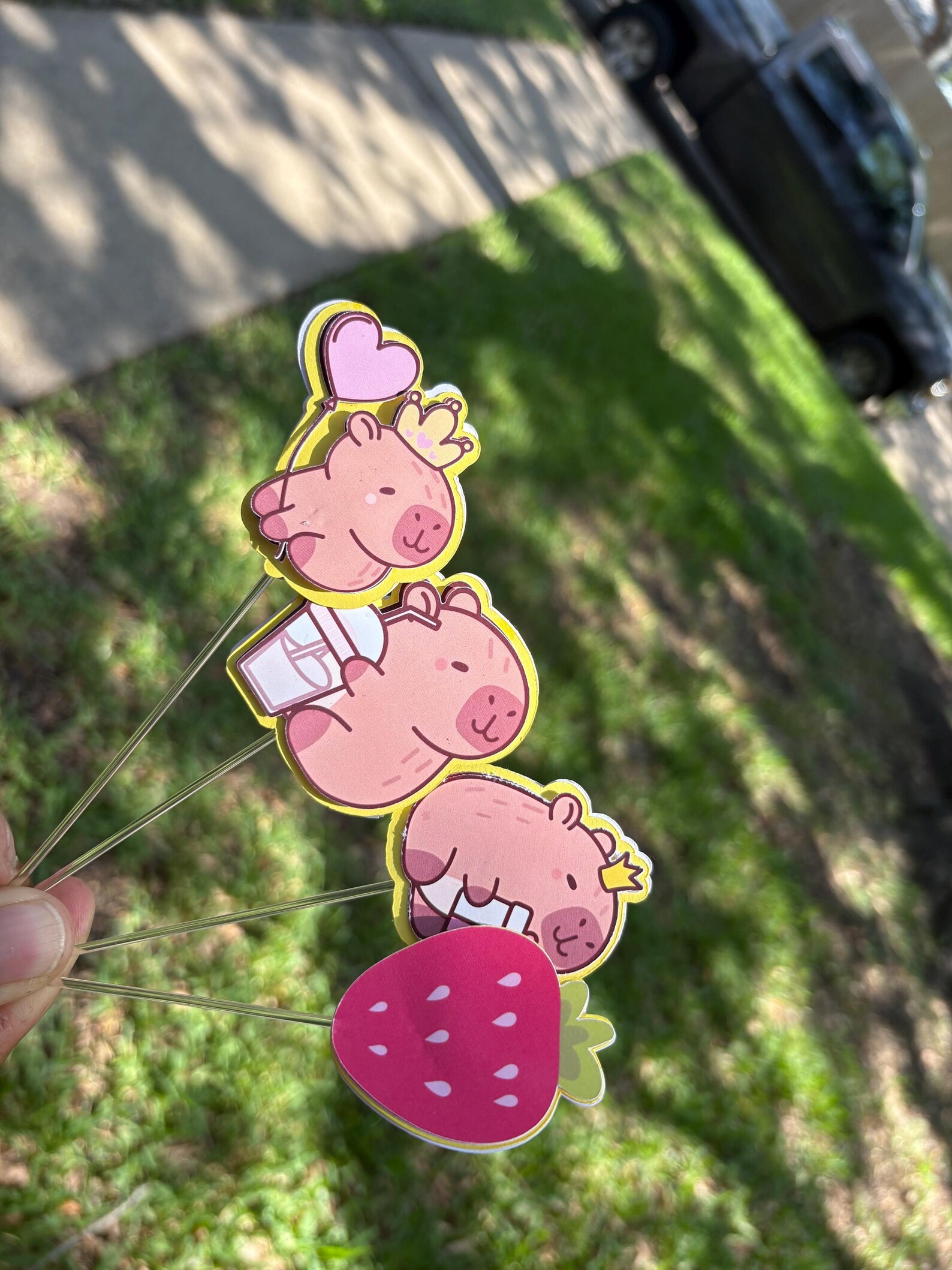 Capybara Birthday Cake Topper - Personalized Party Decor - Etsy