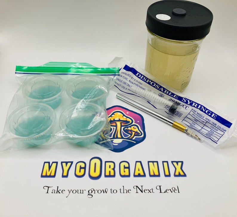 Mycology Culture Kit - Etsy