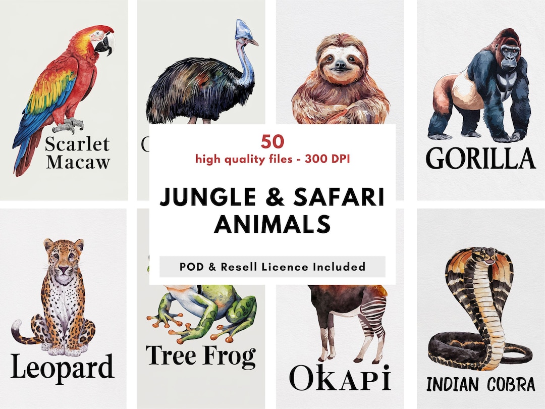 Paquete de 50 láminas imprimibles de animales salvajes: ilustraciones ...