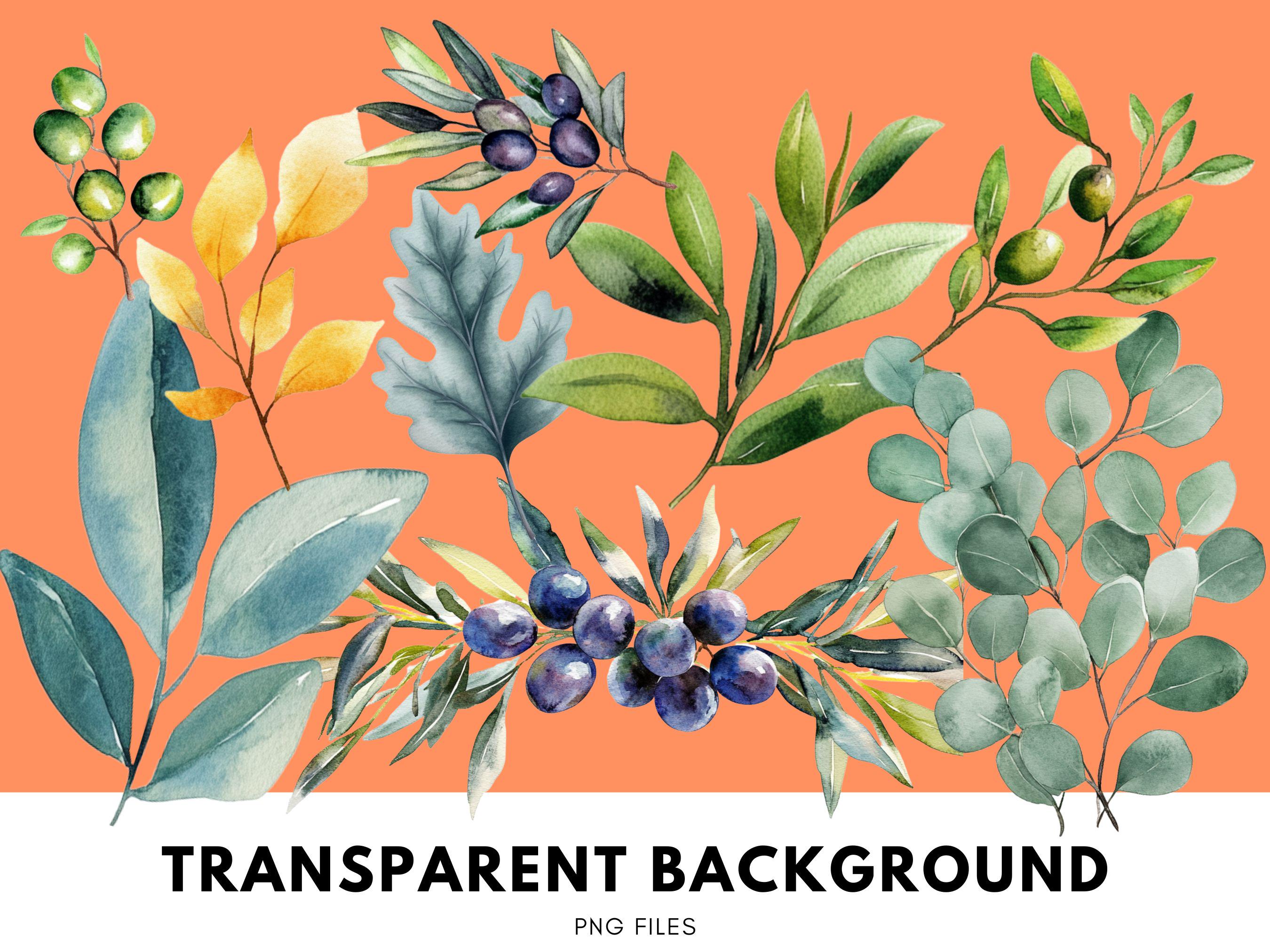 Watercolor Leaf Clipart Bundle: Botanical Greenery PNG (digital ...