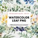 Watercolor Leaf Clipart Bundle: Botanical Greenery PNG (digital ...
