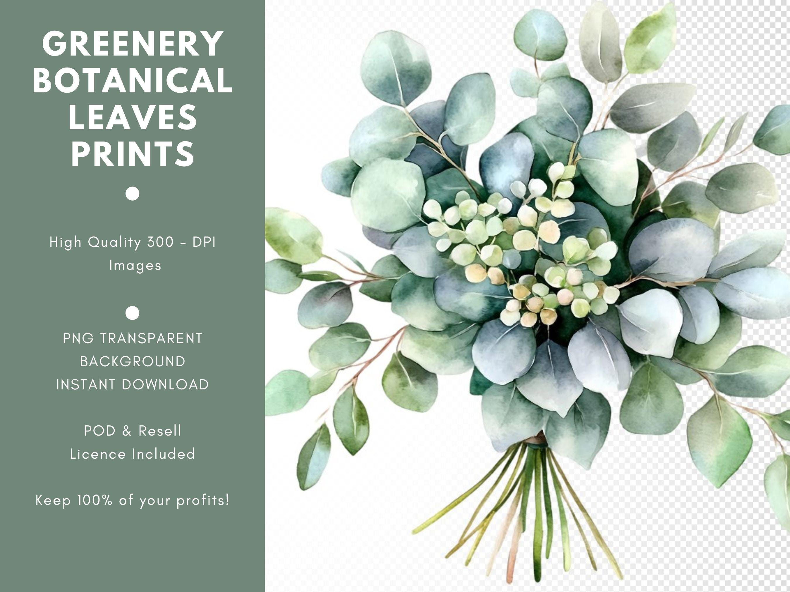 Watercolor Leaf Clipart Bundle - Botanical Greenery PNG, Hand-painted ...