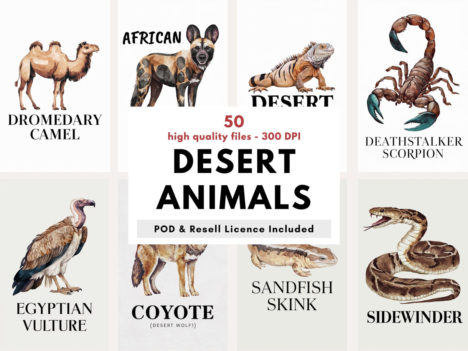 50 Desert Animals Clipart Bundle | Wildlife Illustration Prints ...