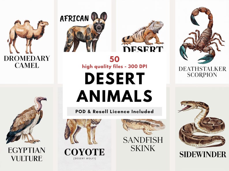 50 Desert Animals Clipart Bundle | Wildlife Illustration Prints ...