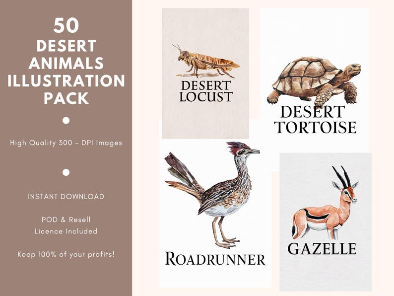 50 Desert Animals Clipart Bundle | Wildlife Illustration Prints ...