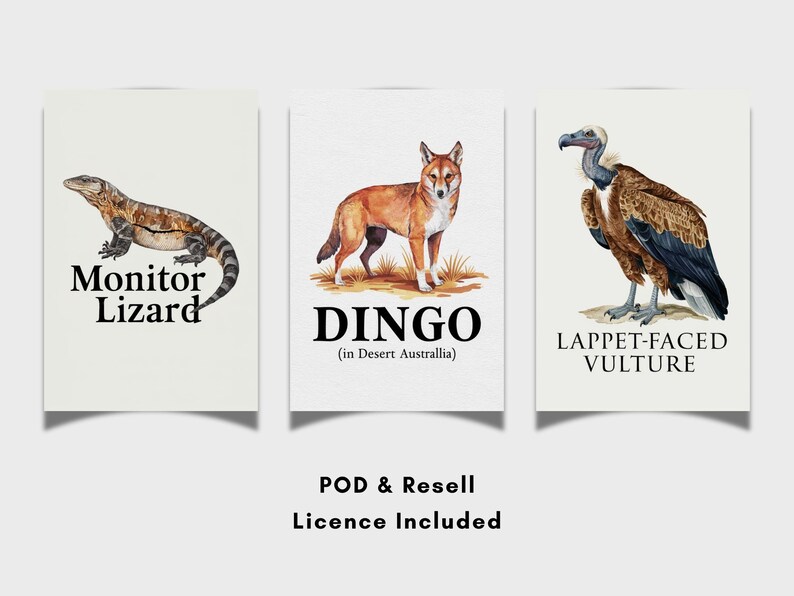 50 Desert Animals Clipart Bundle | Wildlife Illustration Prints ...