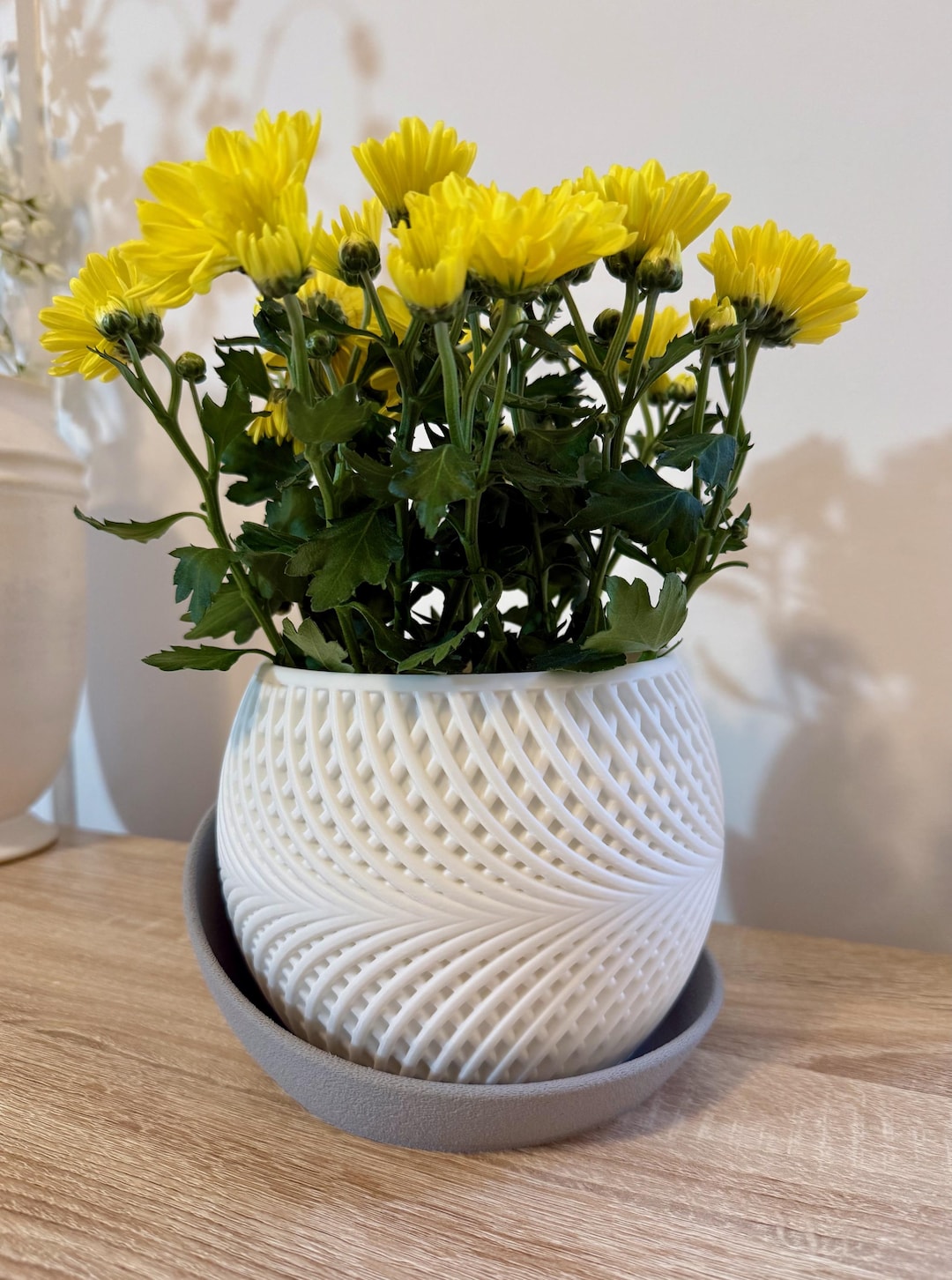 3D Printed Planter Pot With Drip Tray - Modern 3D Printed Pot for ...