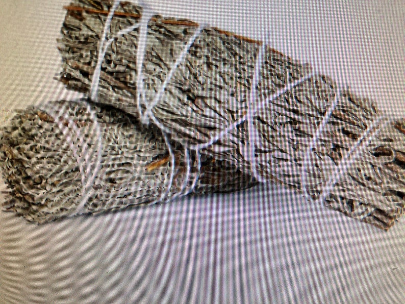 Abalone Shell Smudge Bowl, Large Abalone Shell Smudging Shell Positive ...