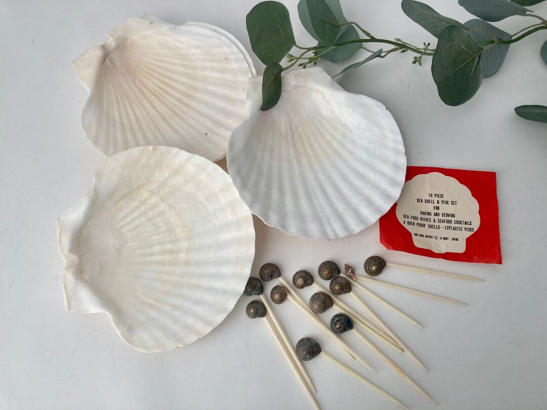 Hors D'oeuvres Real Shells Dishes Set of 8 Clam Seashells Sauce Conch ...