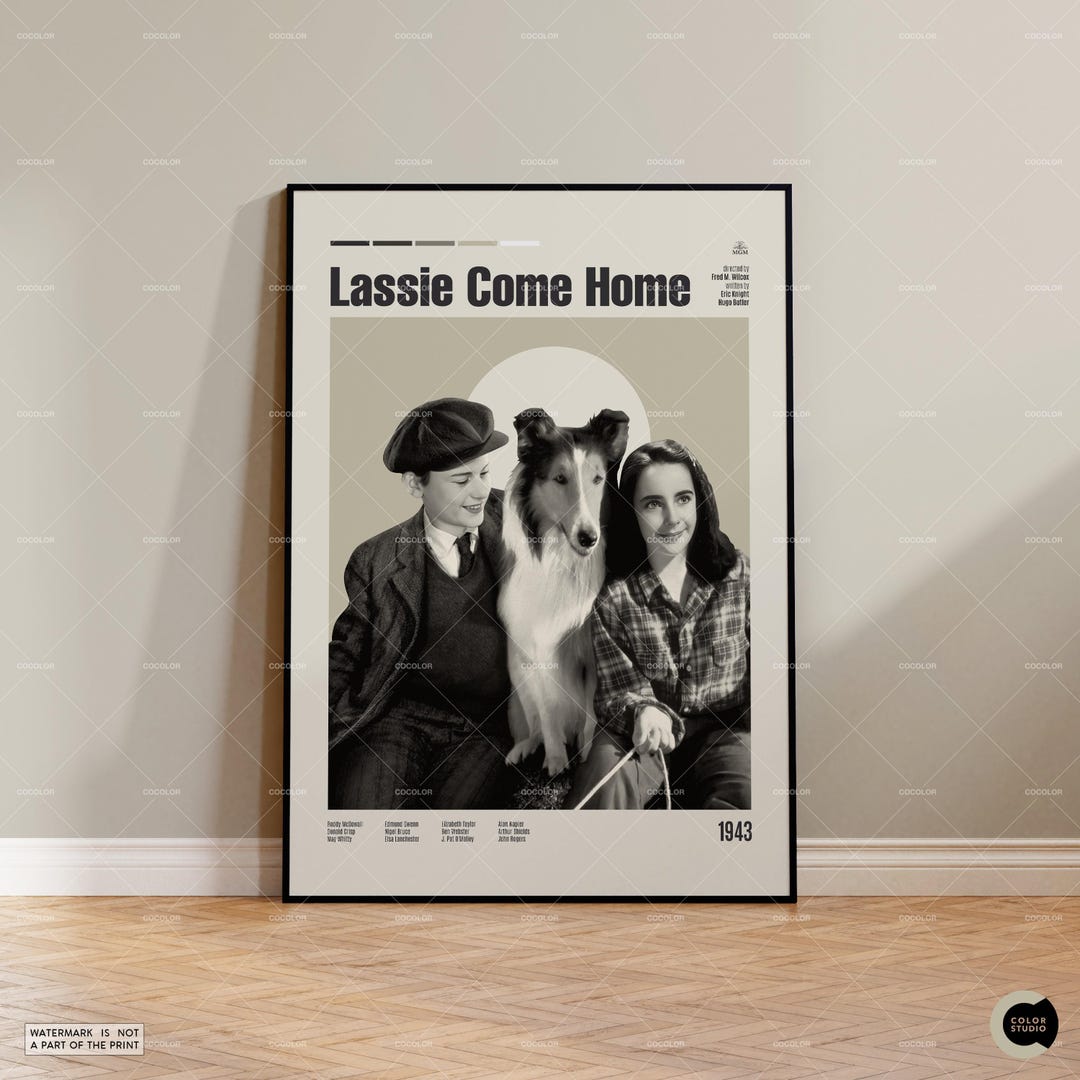 Lassie Come Home, Retro Movie Poster, Midcentury Modern, Retro Tv Show ...