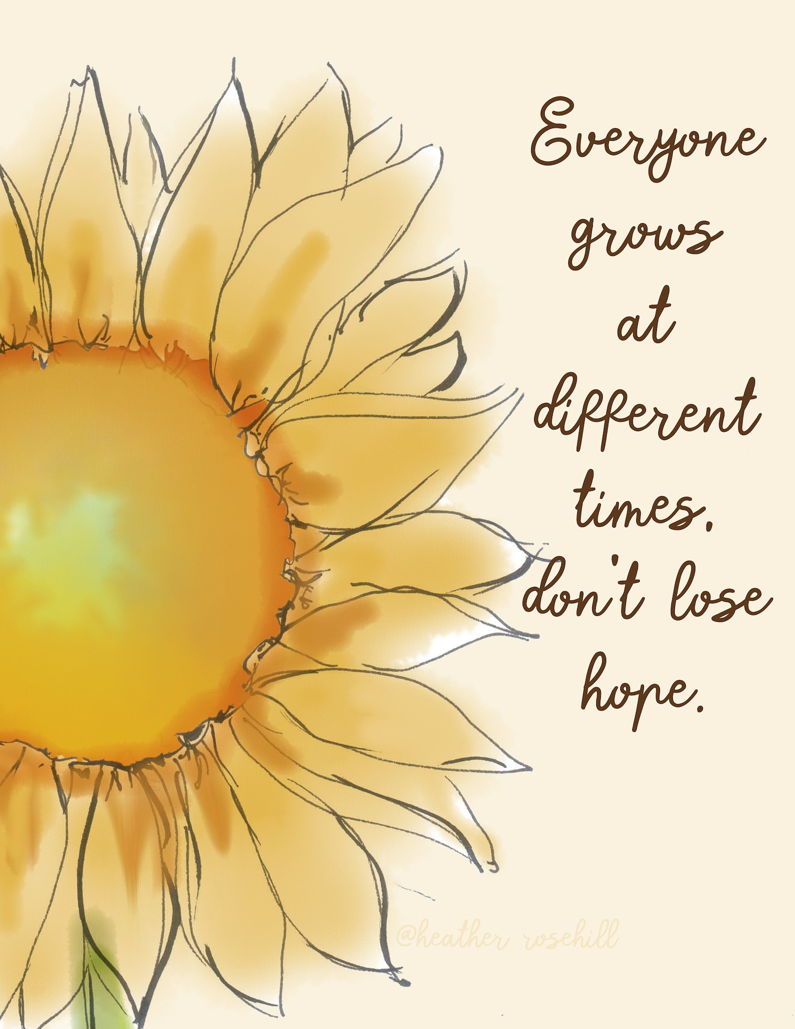 Encouragement Cards - Sunflower Cards - Flower Note Cards - Heather ...