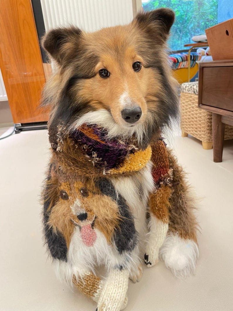 Custom Realistic Knitted Dog Scarf | Handmade Stuffed Puppy From Photo ...