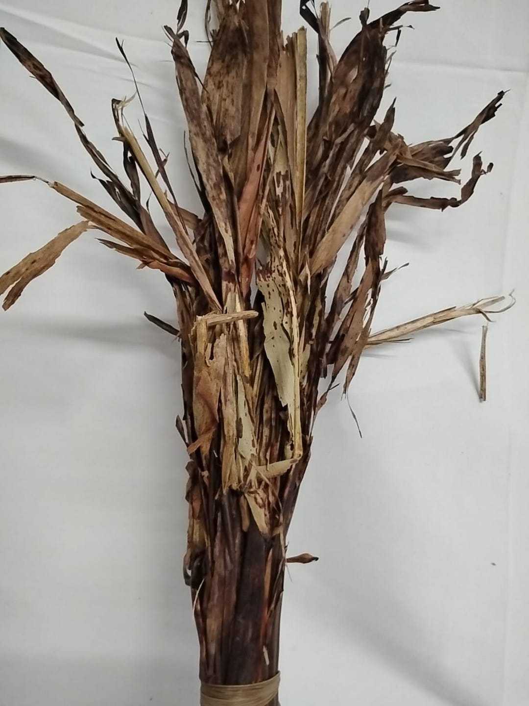 Poroporo Oka Baba/red Sorghum Plant Stalk/waakye Leaves - Etsy