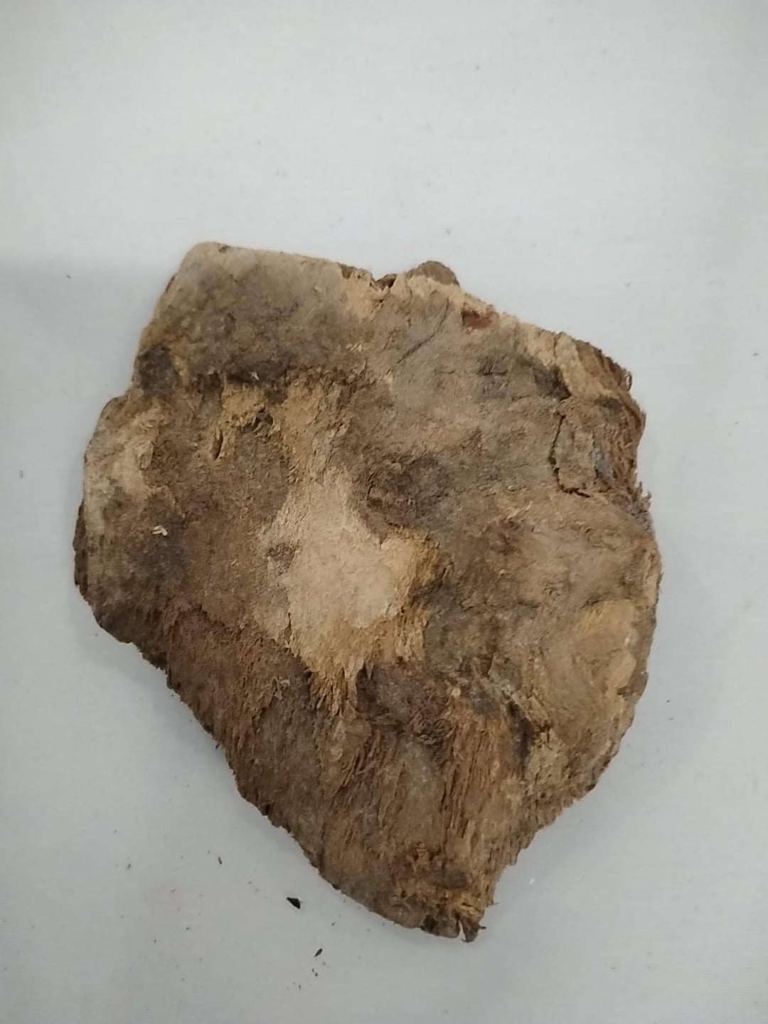 Epo Ori/dried African Pear Tree Bark/micronesia Puberula - Etsy